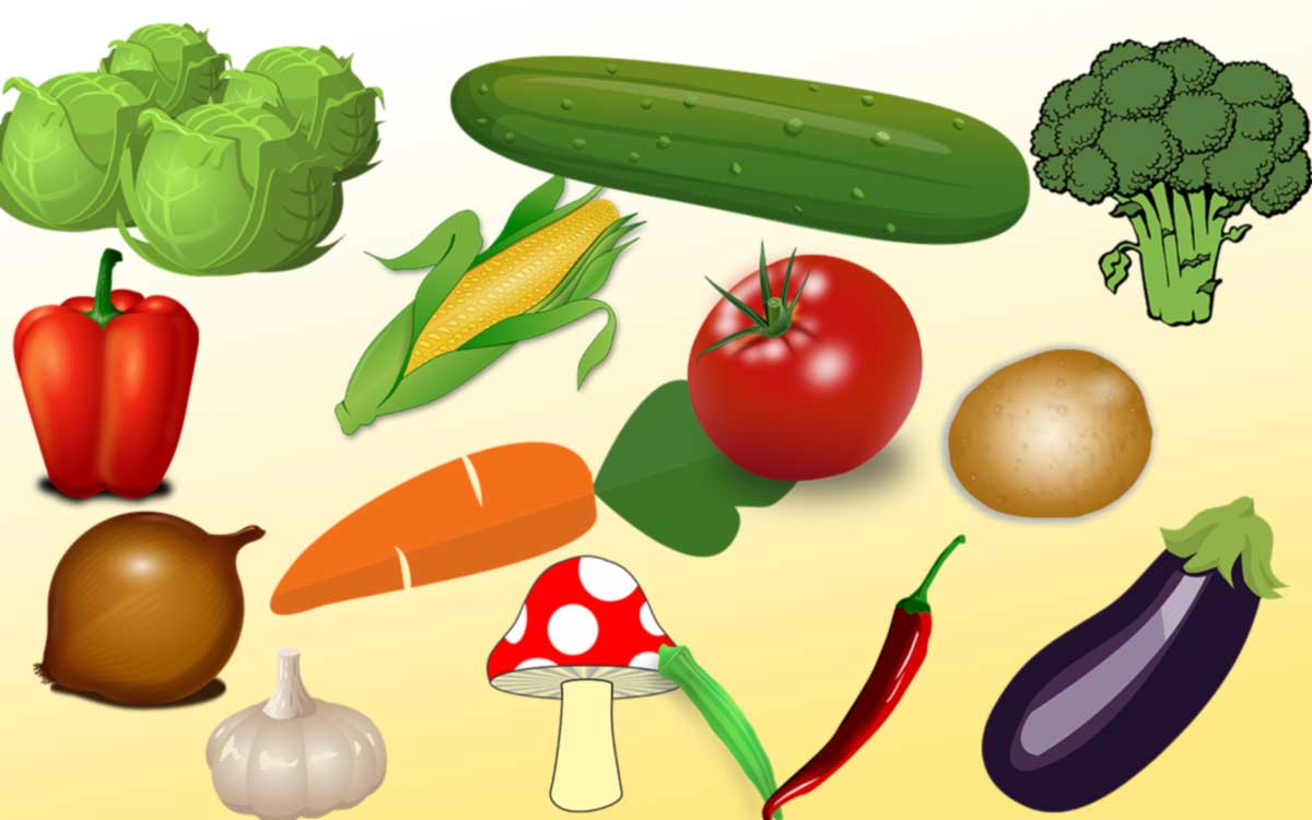 Fruits vocabulary in Chinese – China Help